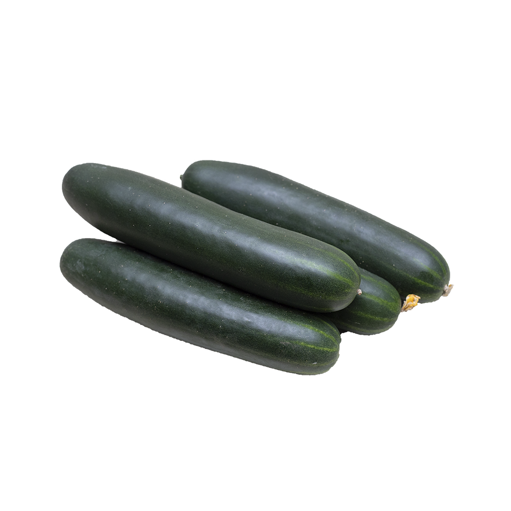 Dry Salted Fish (Koobi) - Revolfoods