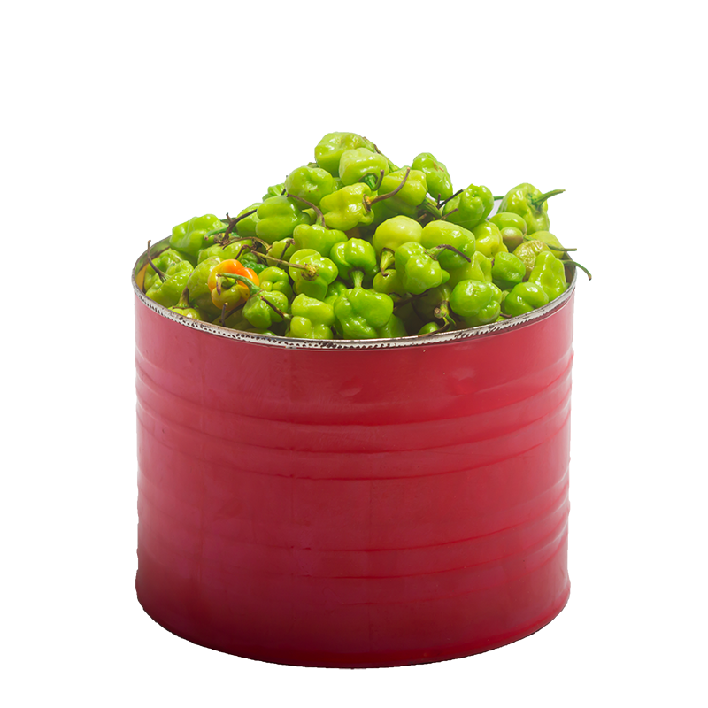 Kpakpo Shito - Revolfoods